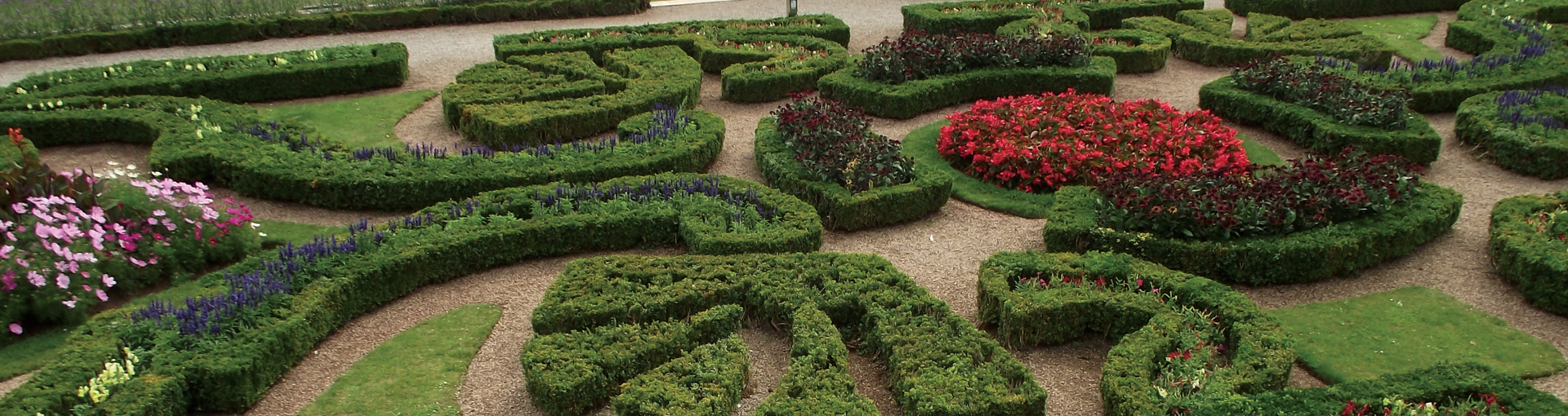 Greenclean pro – Certis Belchim