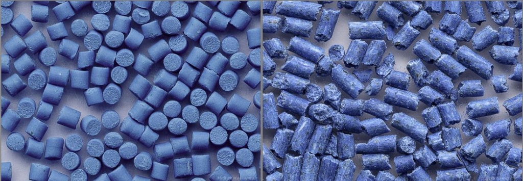 Slug Force – Certis Belchim