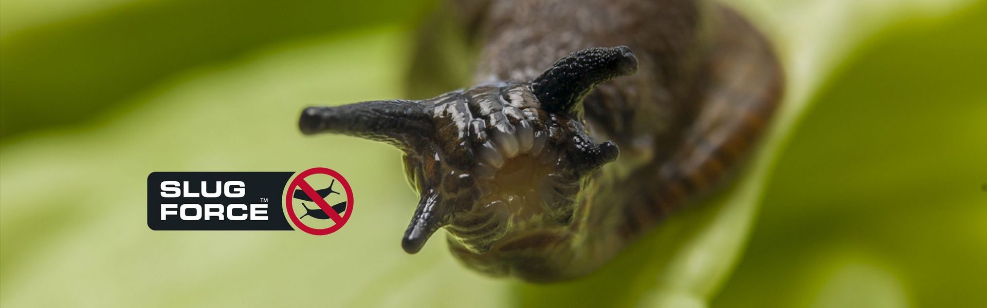 Slug Force – Certis Belchim